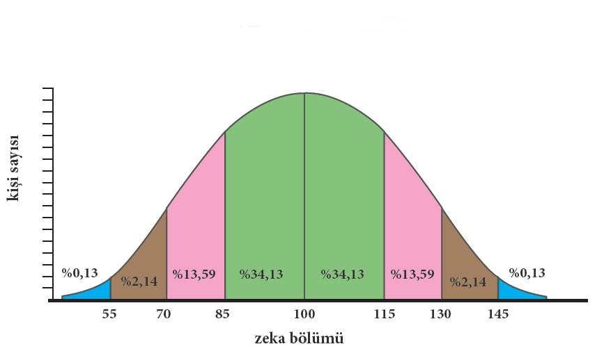 IQ Nasıl Ölçülür? IQ Seviyeleri Nedir? En Yüksek IQ Kaçtır? Tüm Bunlar ...
