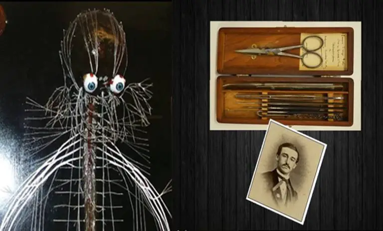 Harriet Cole'un Sinir Sistemi Bize Ne Anlatıyor?