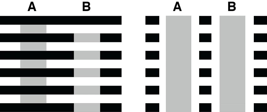 Kuru Kafalar Sizi Yanıltmasın: Munker White İllüzyonu