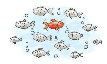 Matematik Ülkelerin Siyasetinden Etkilenir mi? – Matematiksel