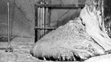 Çernobil Nükleer Patlamasının Bize Hatırası Olan Fil Ayağı Nedir?